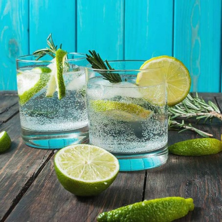 Gin Masterclass at The Royal Hotel